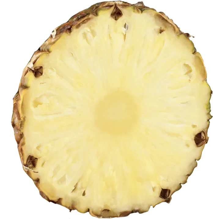 FRESCO DE FRUTAS MIXTAS - Tropical